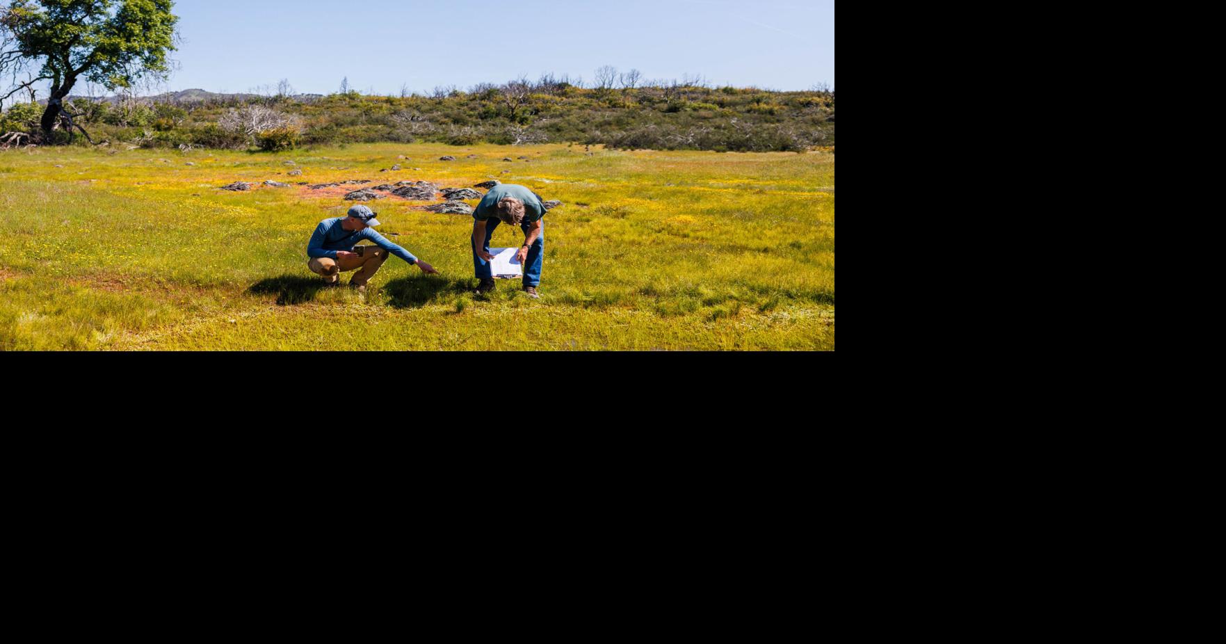 Napa Land Trust gains Mead Ranch on Atlas Peak | News ...