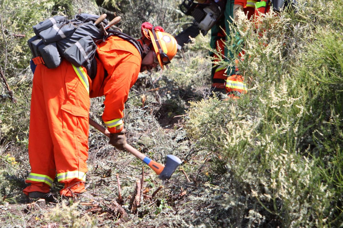 Heroes in training: Inmate firefighters train for fire season | Local ...