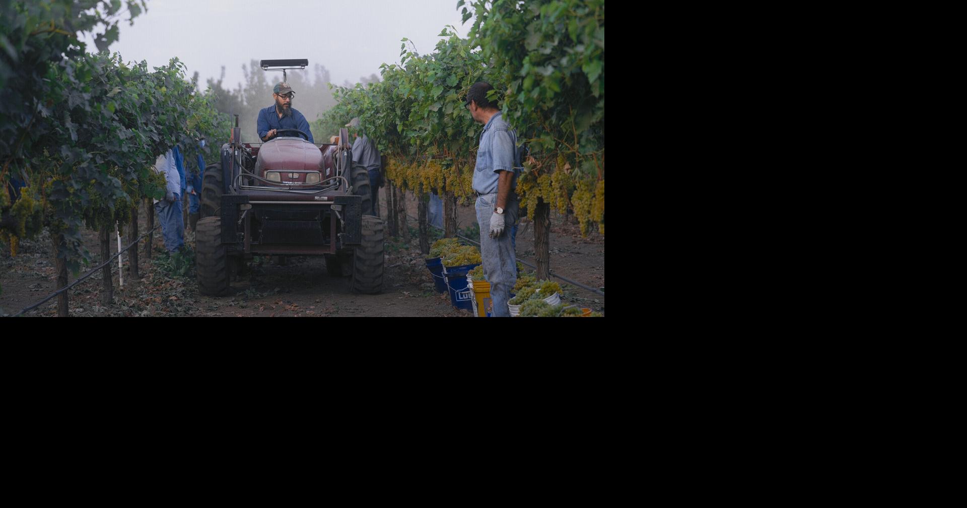 St. Helena's Cameo Cinema adds events to FORK2FILM Festival | Movies ...