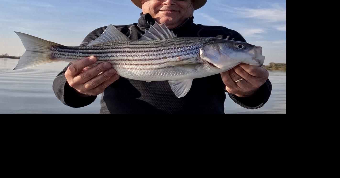 Right place and time key to fish Northern California coast | Sports ...