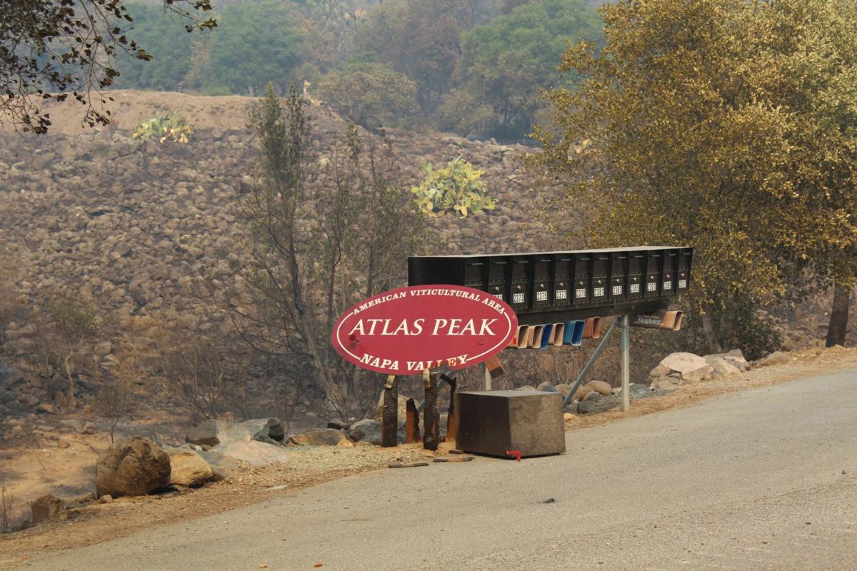 Napa Vintage Report symposium focuses on 2017 growing season