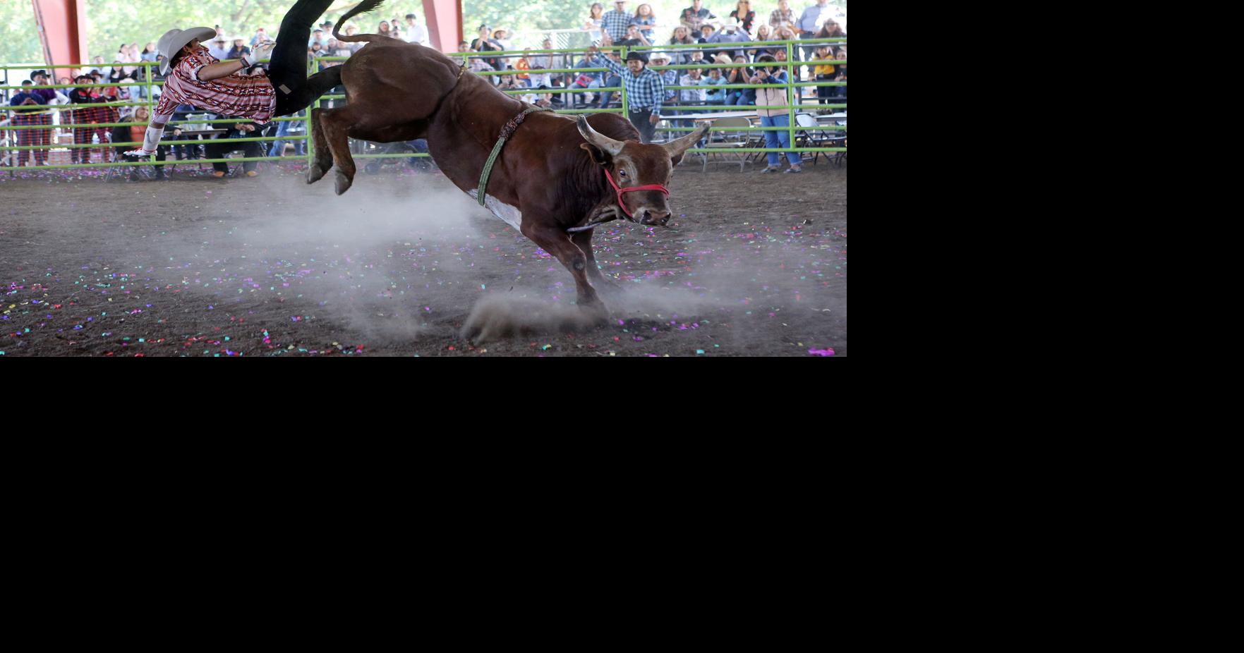 Bull riders show their prowess in Calistoga on Cinco de Mayo | News ...