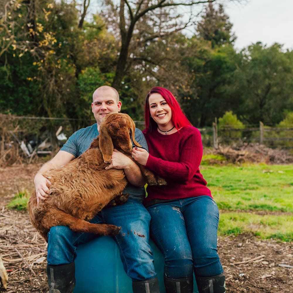 Bleating Hearts Farm and Sanctuary, saving one goat (and one chicken ...