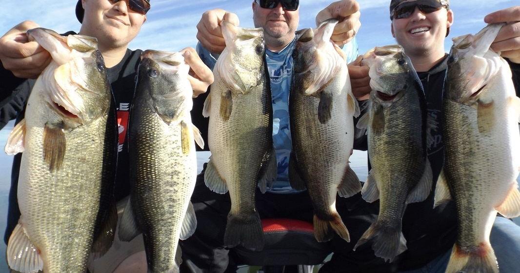 Rotary fish counter to be launched in Napa River | Sports ...
