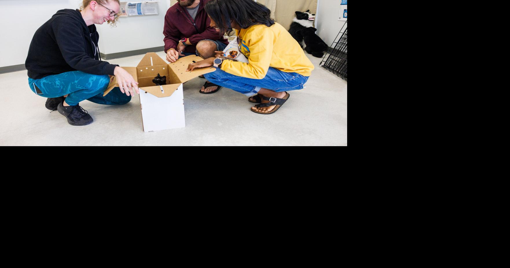 Pet shelters fill up, animal adoptions fall off in Napa, Bay Area