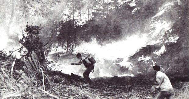 Historic Calistoga fire marks 50-year anniversary | News ...