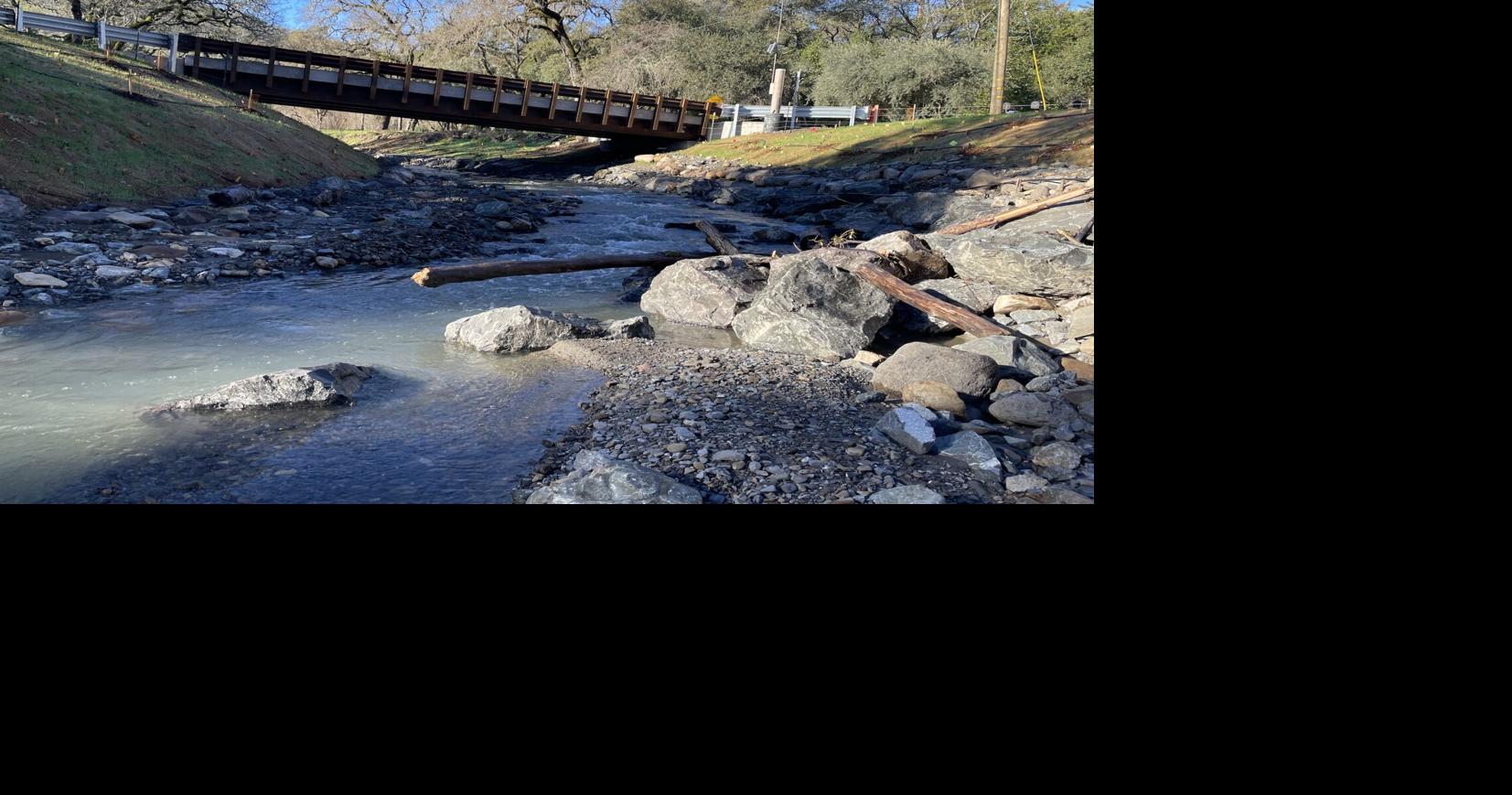 New St. Helena bridge restores fish passage to Sulphur Creek | News ...
