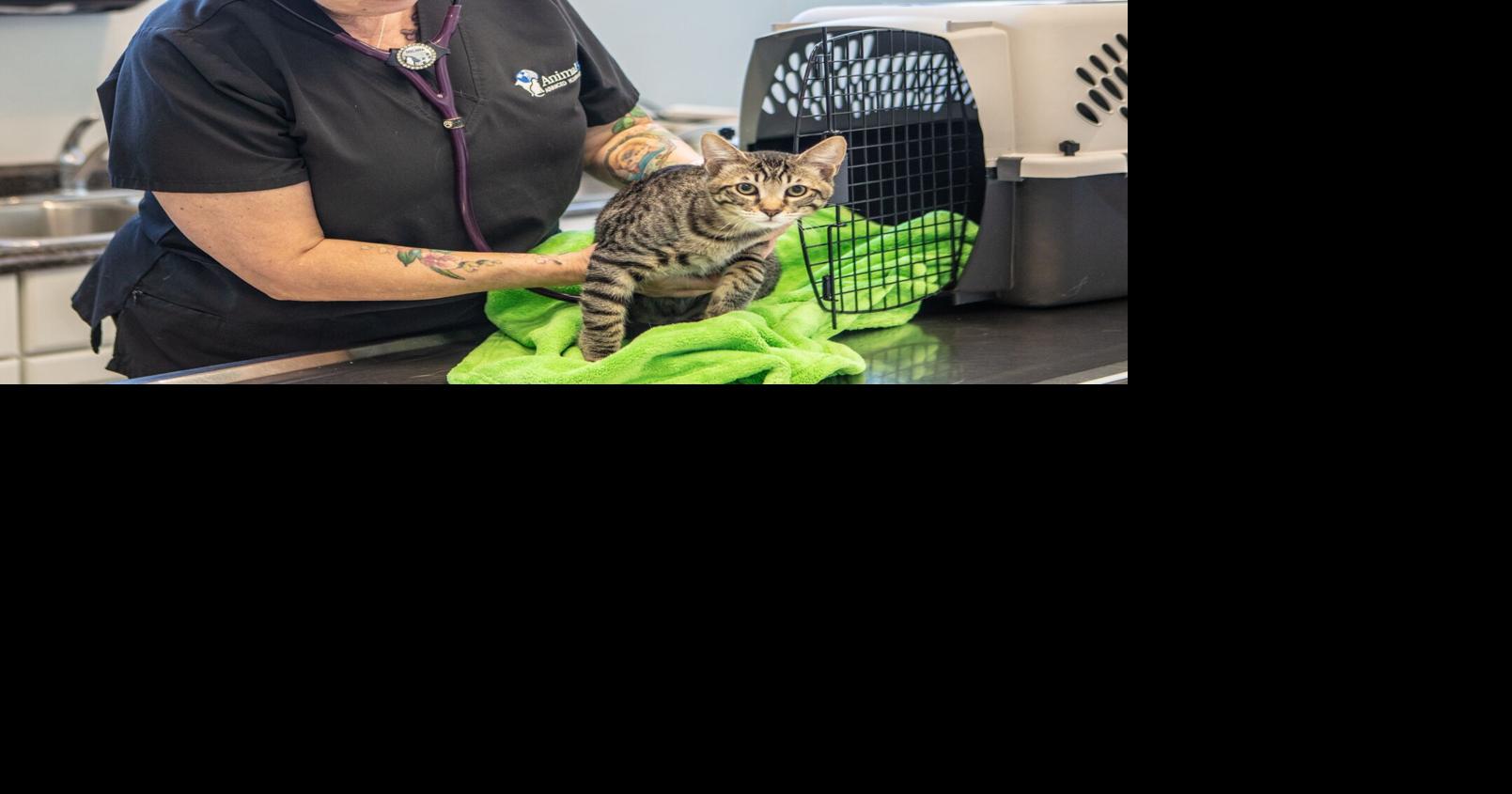 Grants available to help Napa County's small animals | News ...