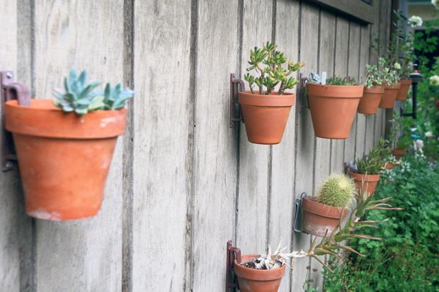Explore the garden of blue-ribbon winner Ray Sittig