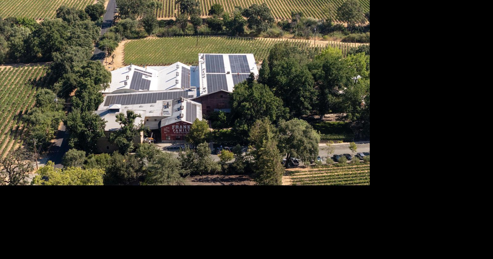 Frank Family Vineyards' “Green to our Roots” philosophy | News ...