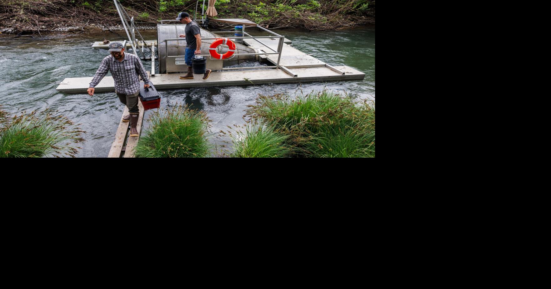 PHOTOS: A rotary screw trap monitors Napa River fish | News ...