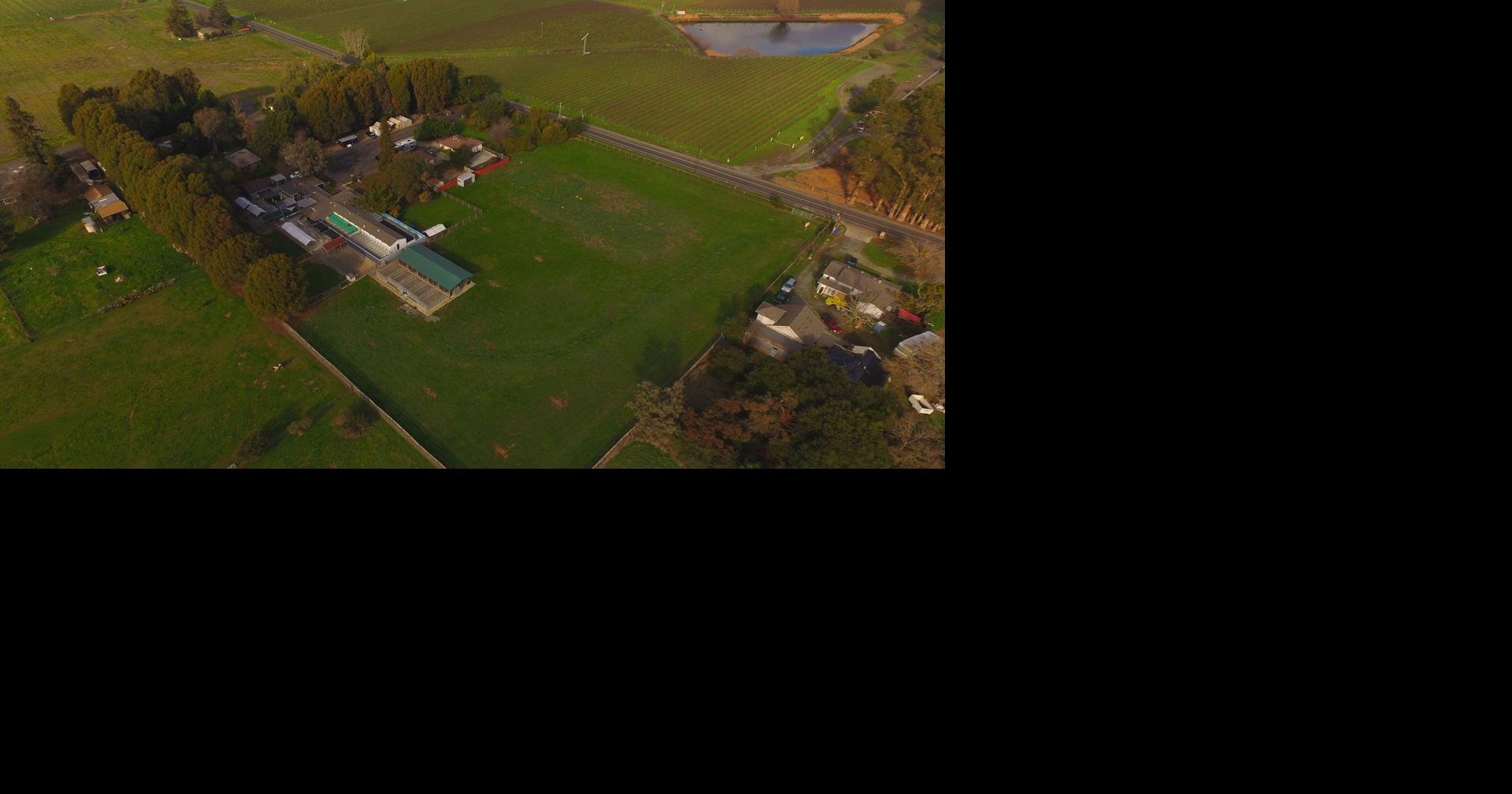 Jameson Animal Rescue Ranch buys $2.3 million Napa Valley property with ...