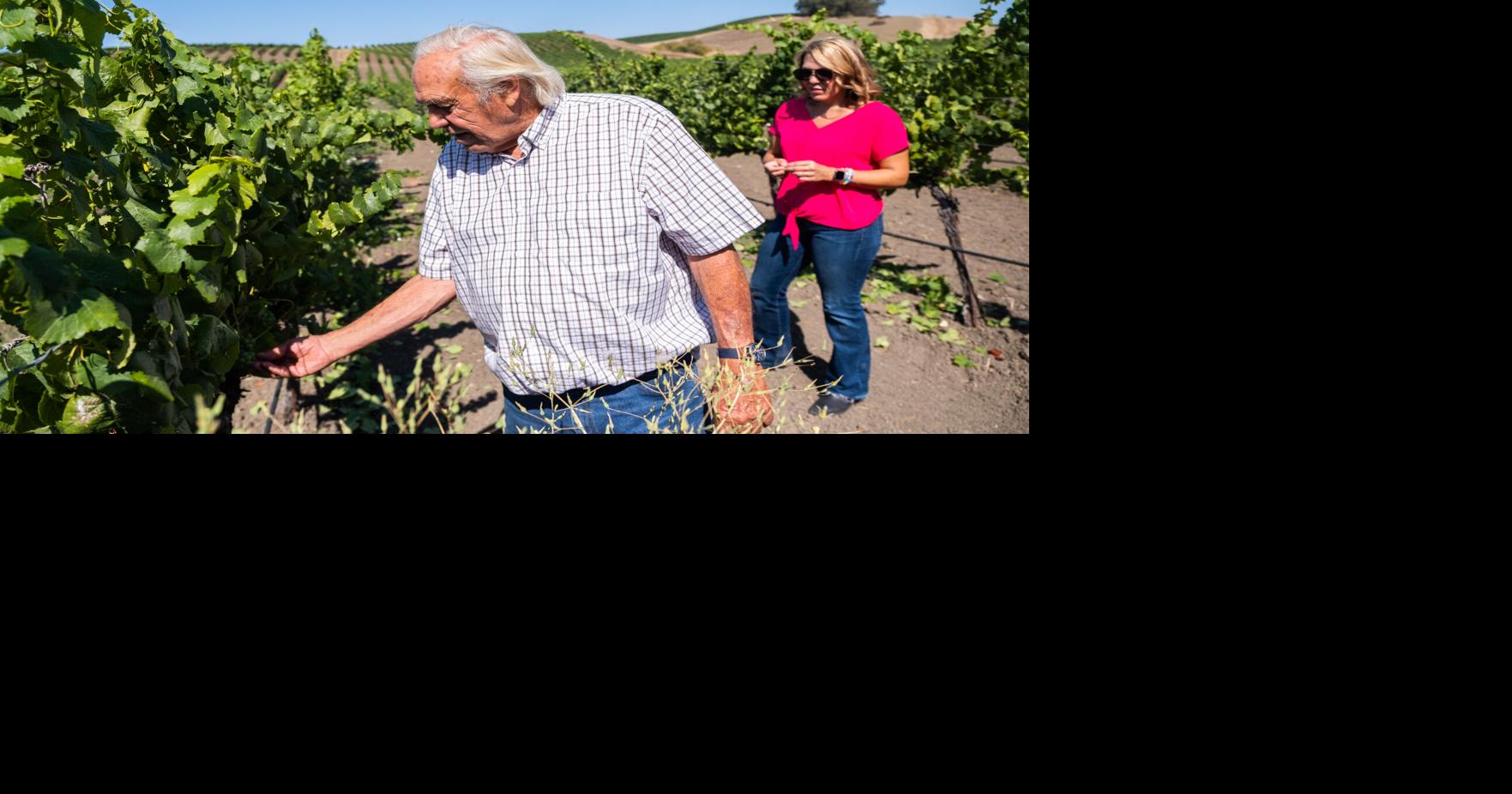 Photos: Madonna Estate Winery looks back on 100 years of winemaking in ...