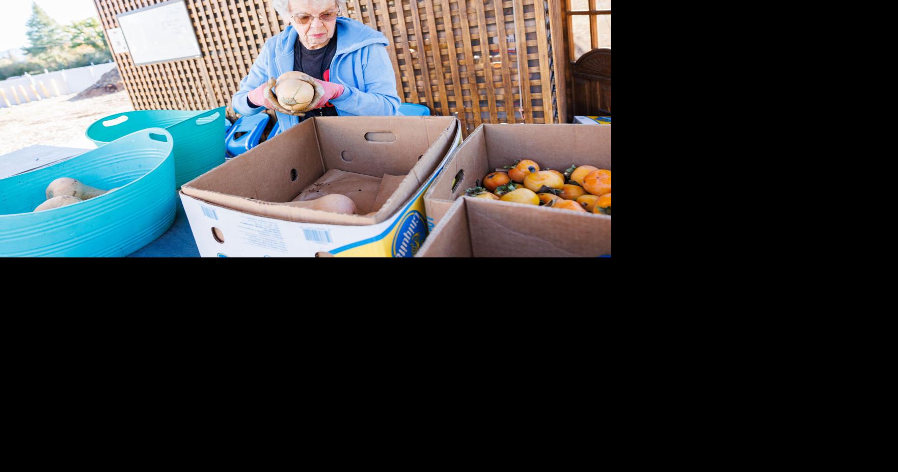 Season of Giving: Profiles of Napa Valley nonprofits making a ...