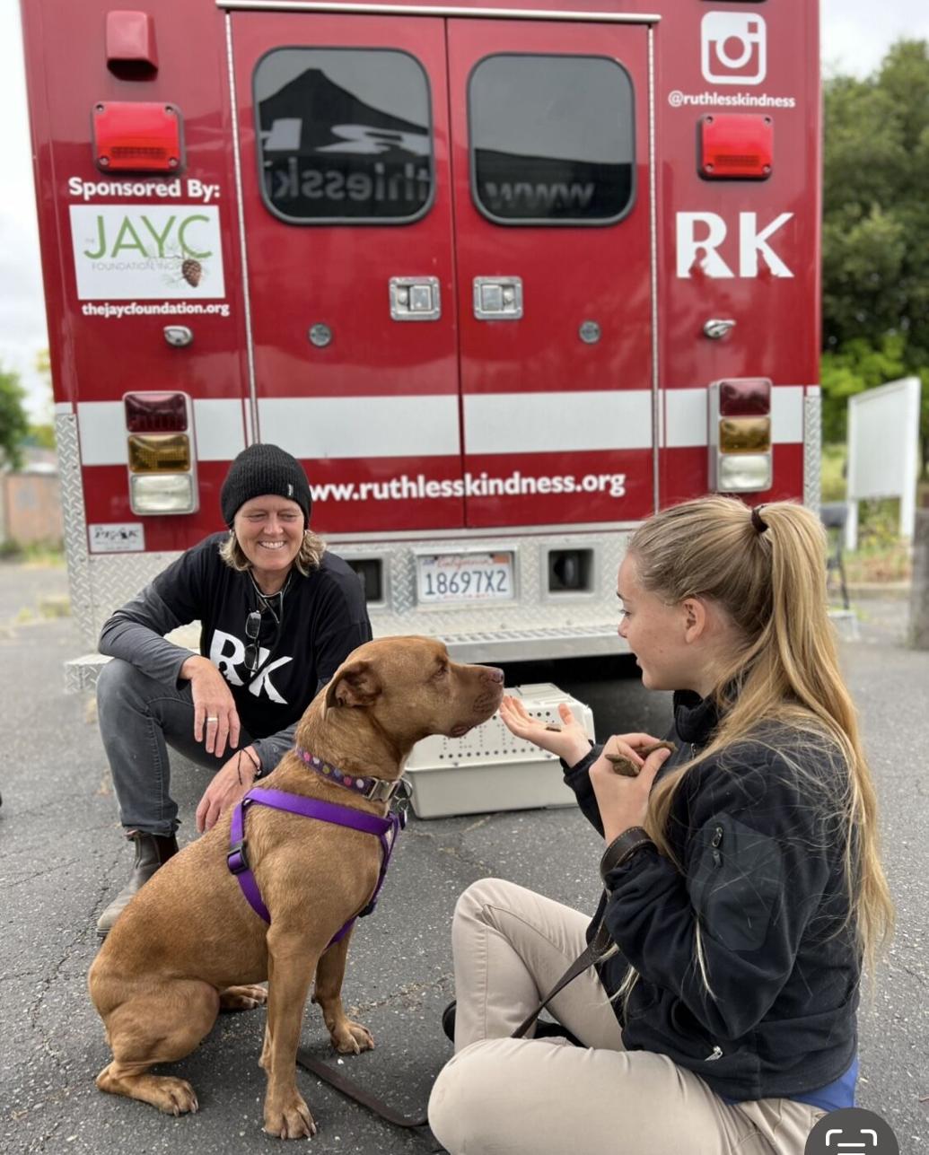 Jameson Humane continues legacy of helping animals | News ...