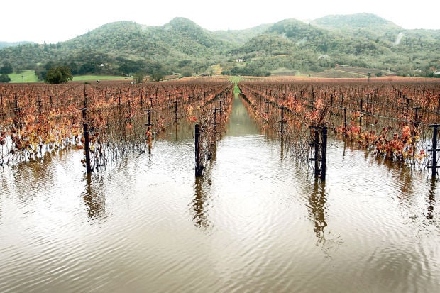 Best practices for vineyard water use and conservation
