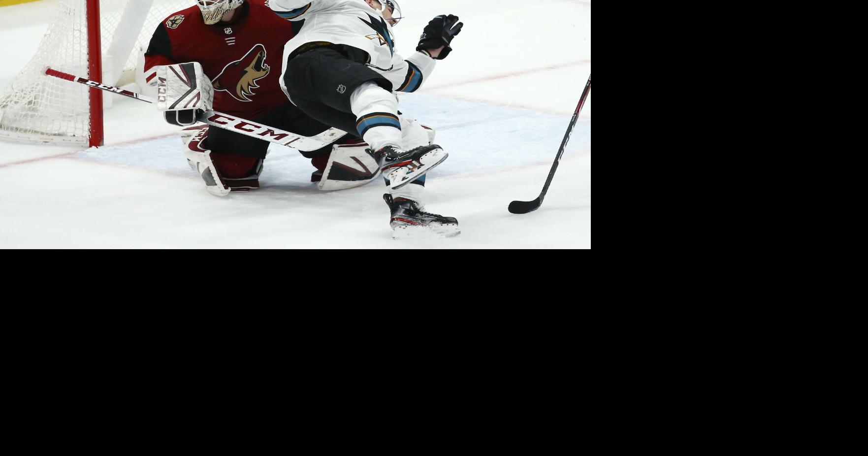 NHL: Realignment of divisions based on geography | Professional ...