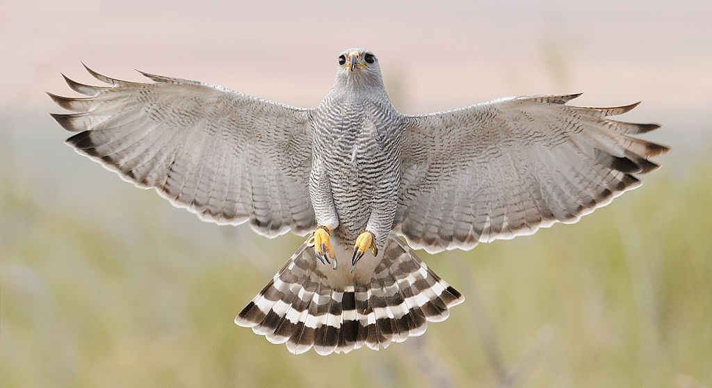 Looking for the sun? Try Tucson | Lifestyles | napavalleyregister.com