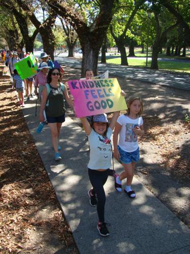 Be Kind: Finkelstein sisters inspire kindness in Napa County through ...