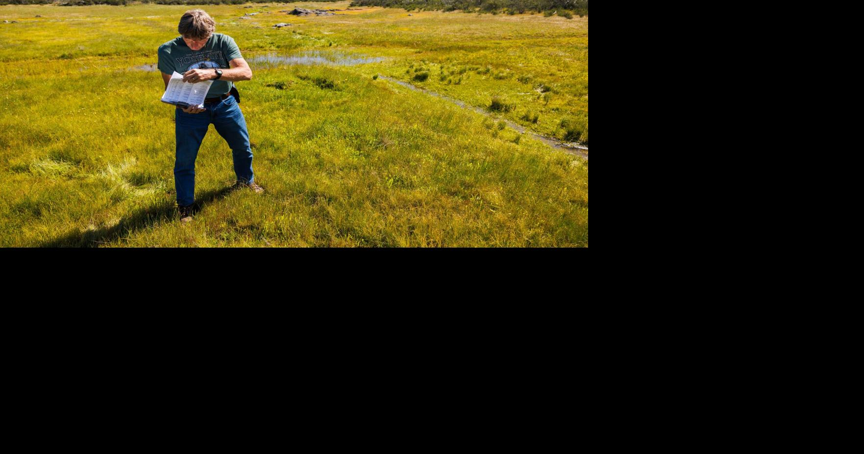 PHOTOS: A walk around Mead Ranch | News | napavalleyregister.com