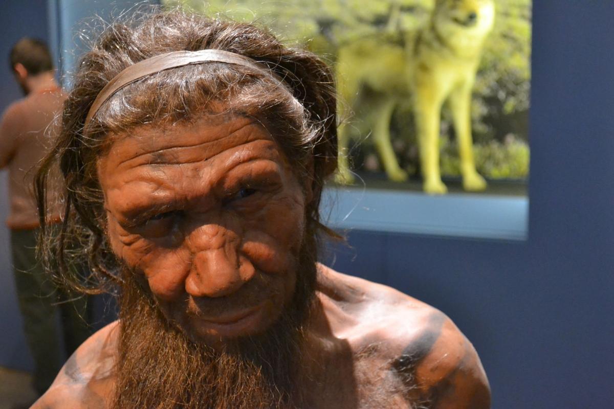 Your Neanderthal DNA might actually be doing you some good