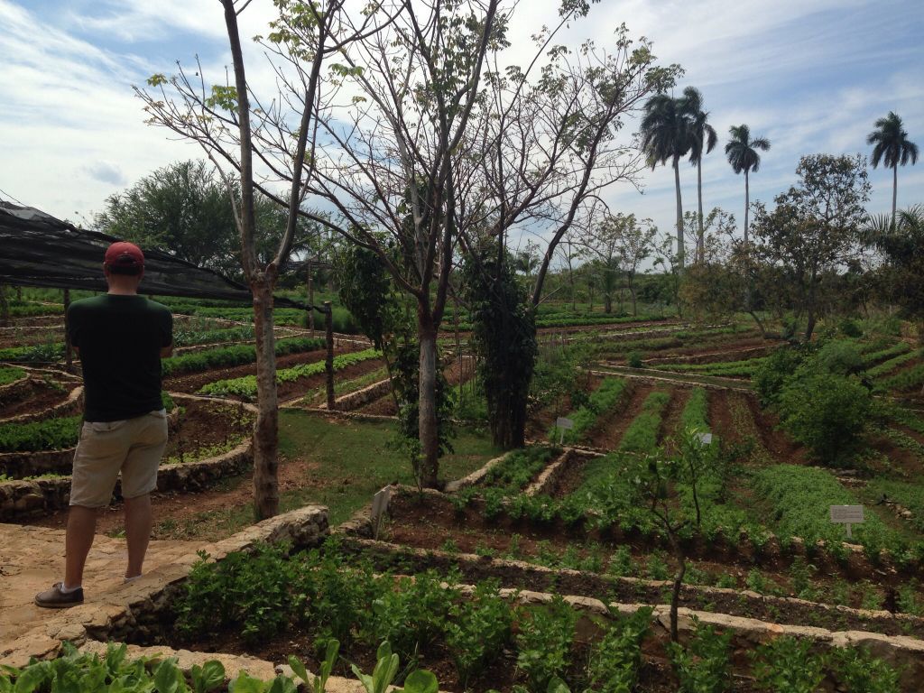 Finca Marta: A model farm