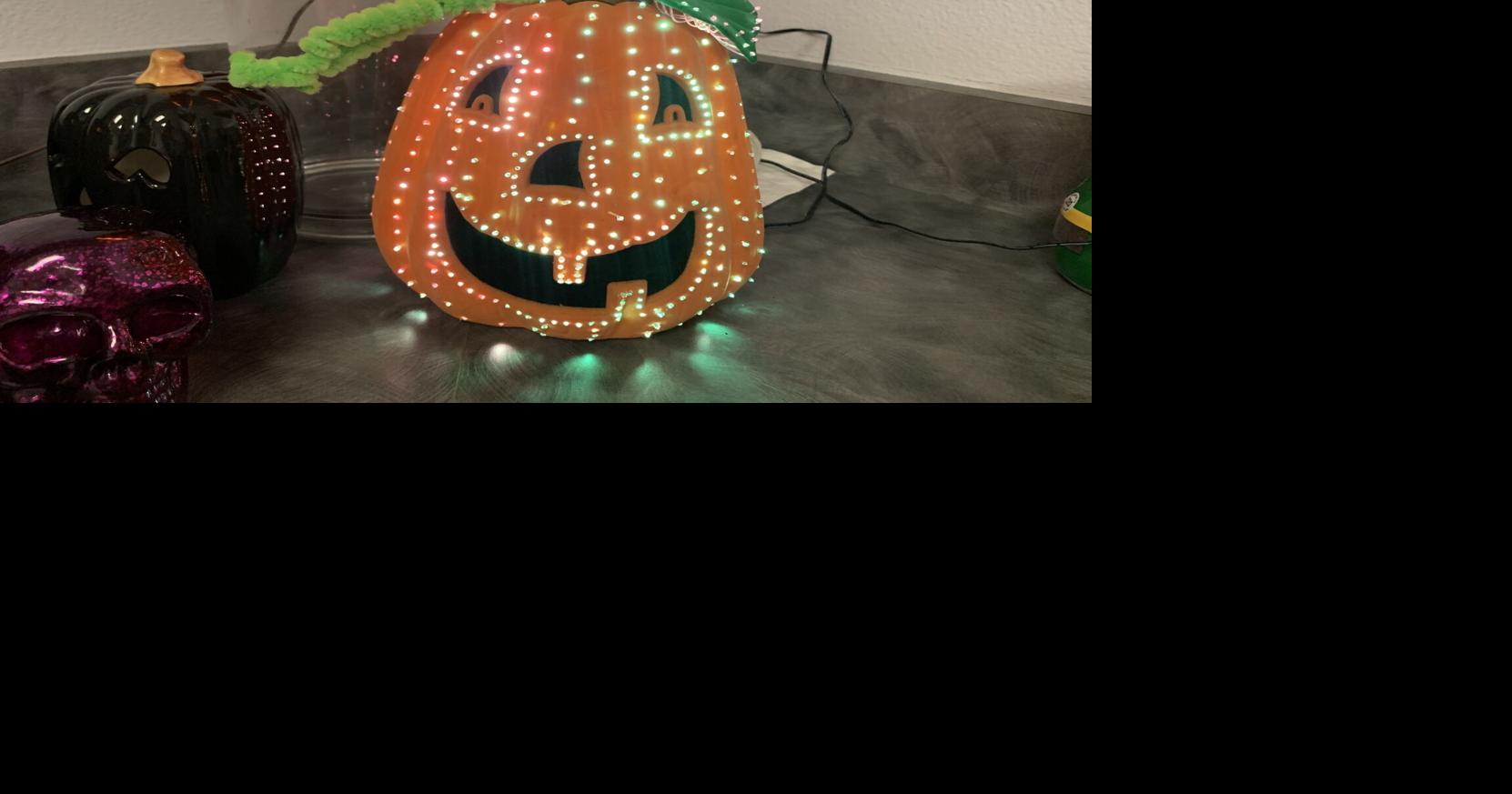 how a tacky las vegas style pumpkin became a Napa favorite