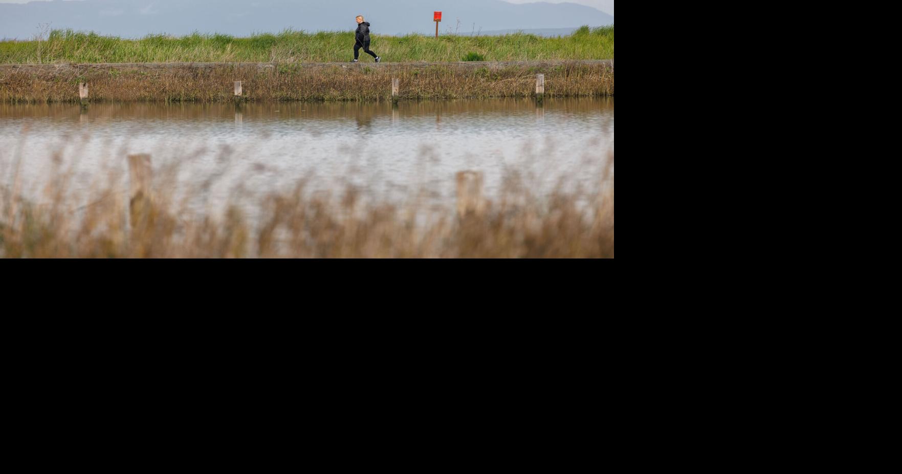 Bay Area wetlands key to climate resilience | News | napavalleyregister.com