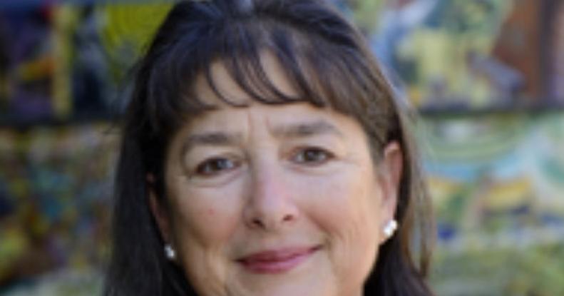 Environmentalist Chris Malan enters supervisor race | News ...