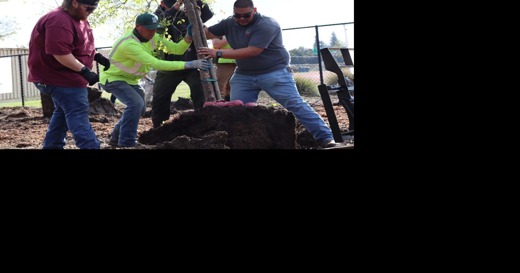 City of Napa plants trees at Playground Fantástico in celebration of ...