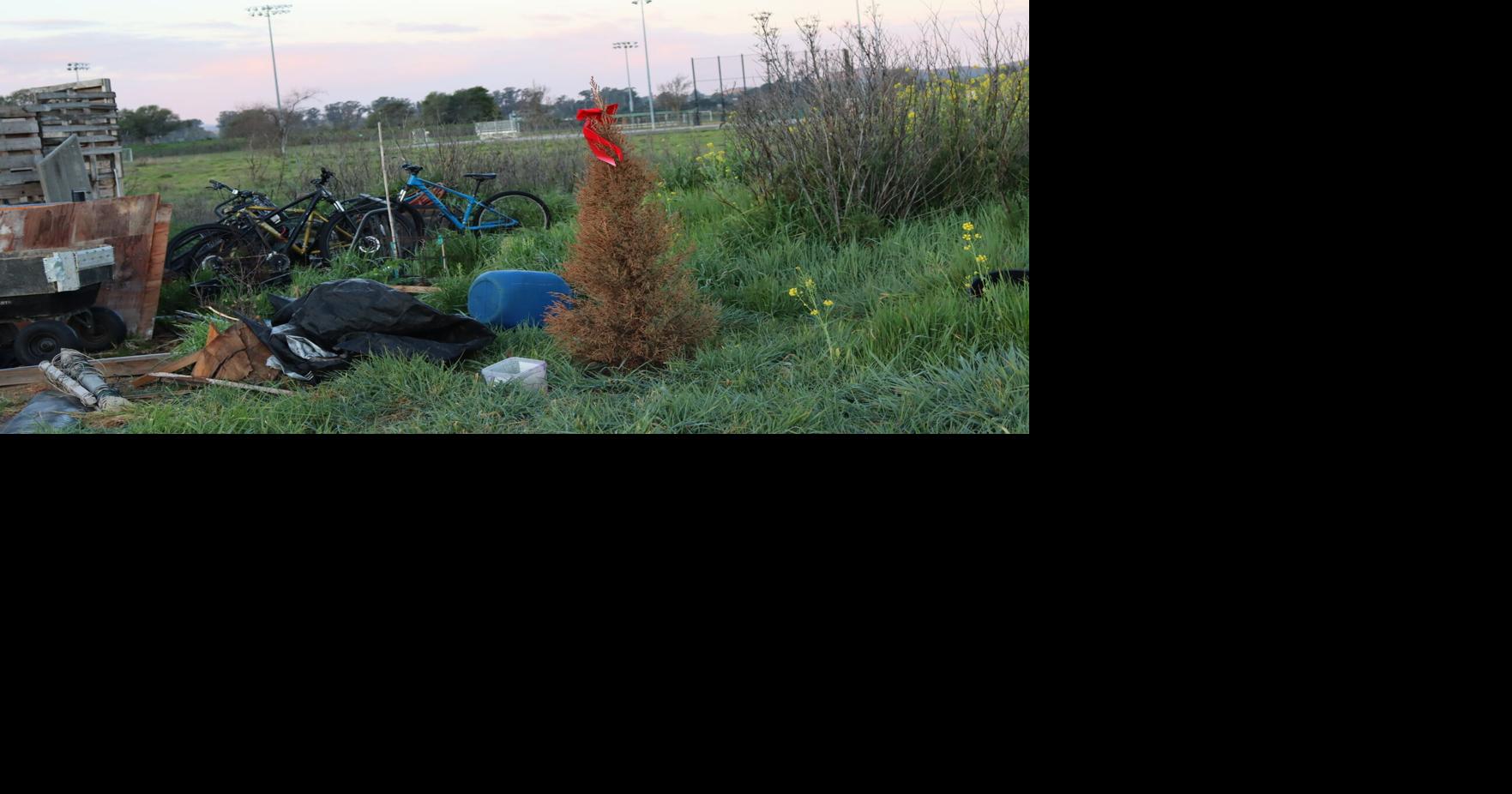 Napa City Council votes to fund homeless outreach while switching to ...