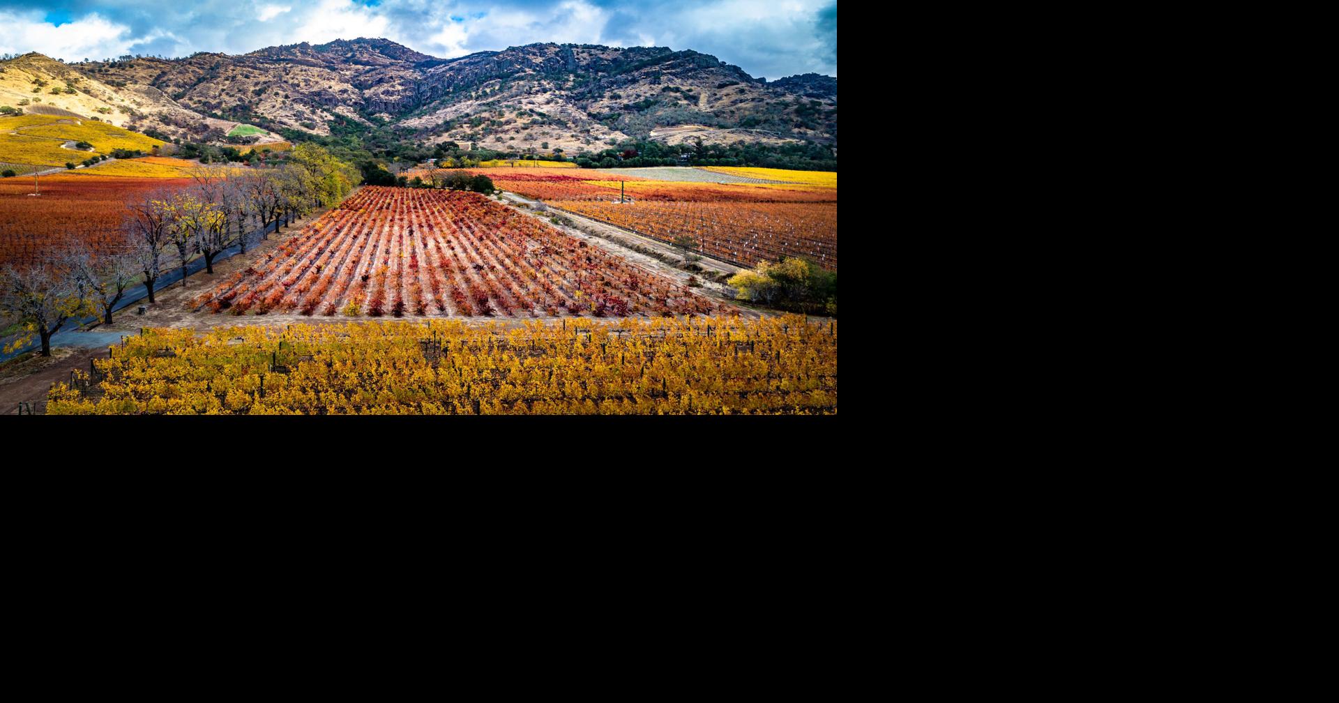 Stags’ Leap Winery — one valuable apostrophe | Wine ...