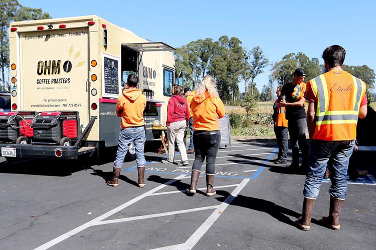 Ohm amplifies coffee in Napa Valley