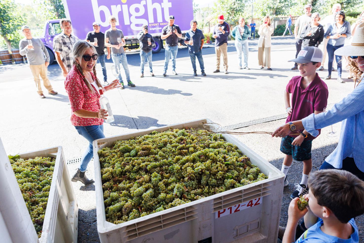 PHOTOS: Peju Winery blessing ceremony launches Napa Valley grape ...