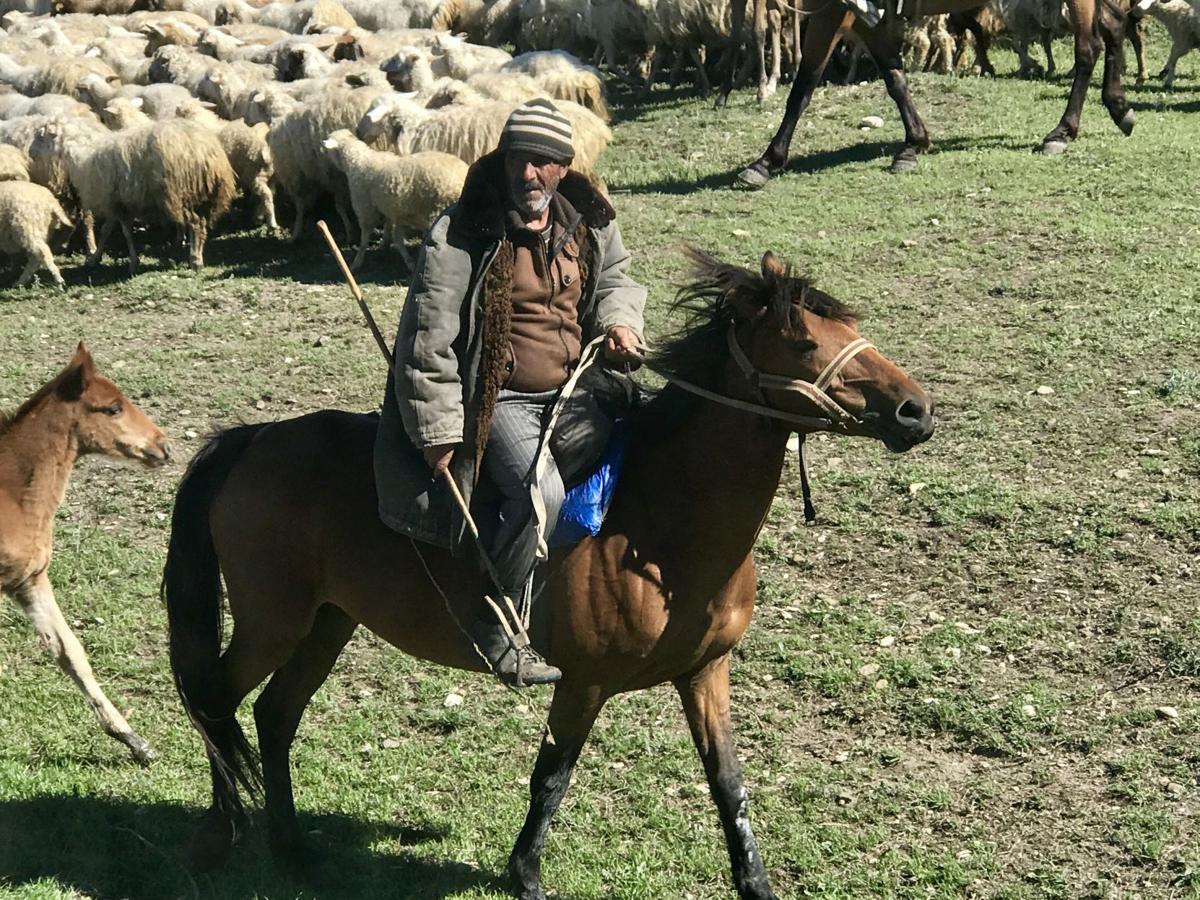 The Silk Road through the Caucasus | Travel | napavalleyregister.com