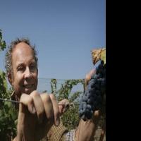 Steve Krebs marks 20 years of building a wine program at Napa Valley ...