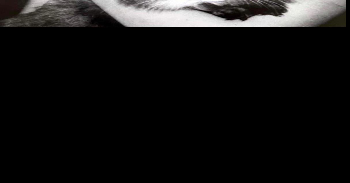 Janice "Jan" Ilene Schweitz | Announcements | napavalleyregister.com