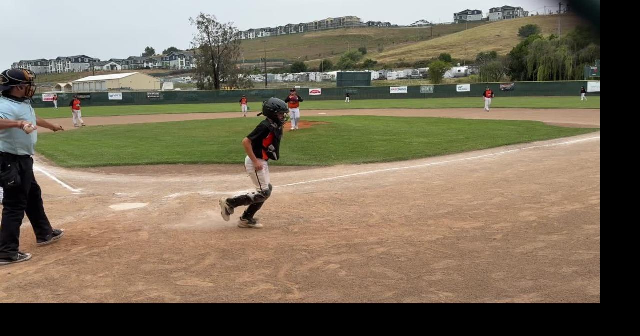 Ace Auto tops Stag's for American Canyon Little League title | Sports ...