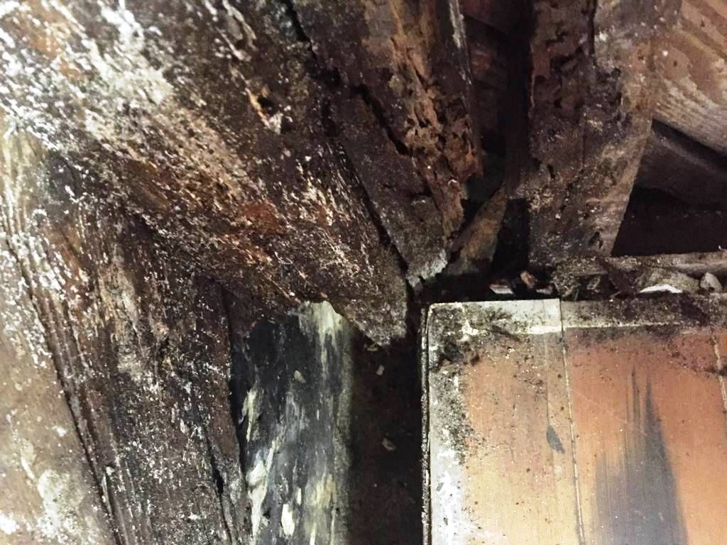 Extensive rot, unsafe wiring delay Calistoga Library reopening | Local ...