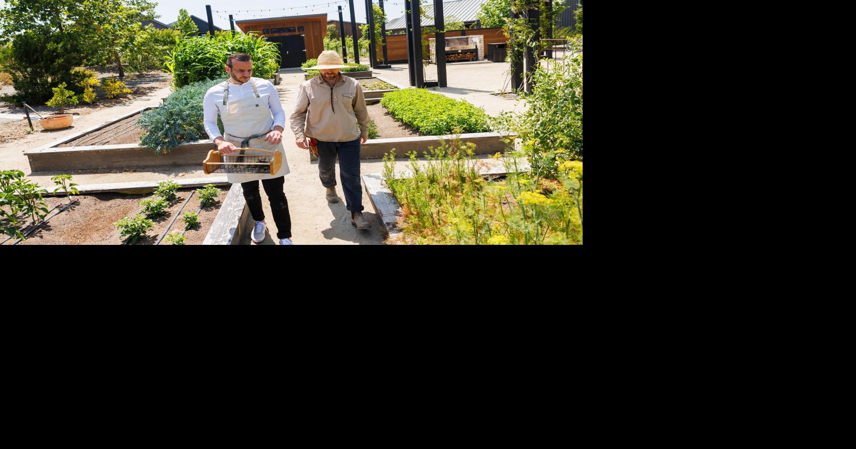 Meet the chef/farmer duo behind Bear at Stanly Ranch | Food & Drink | napavalleyregister.com