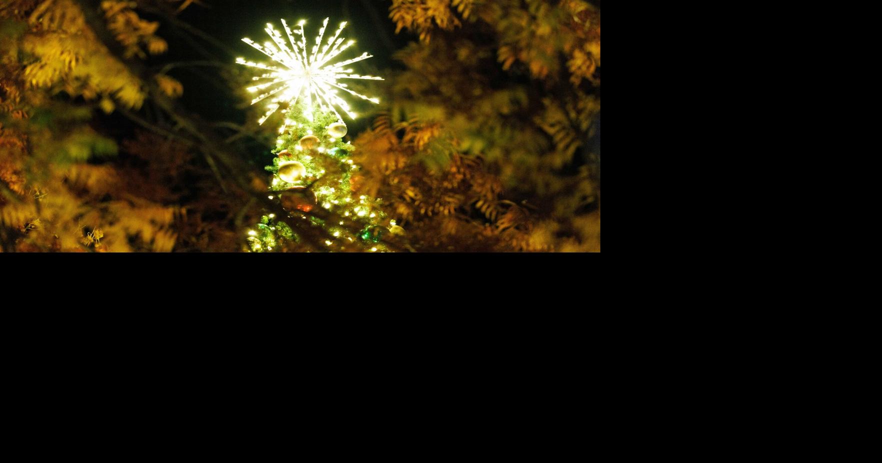 PHOTOS: Napa's Christmas tree lighting brightens holiday season | News ...