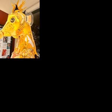 Cameo Cinema events in St. Helena highlight oceans | Lifestyles ...