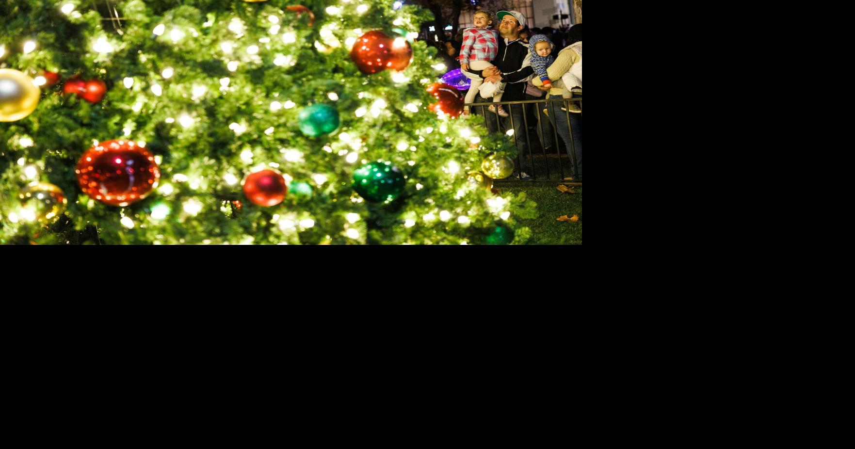 napa downtown hosts christmas fun, parade, trees and more | Business ...