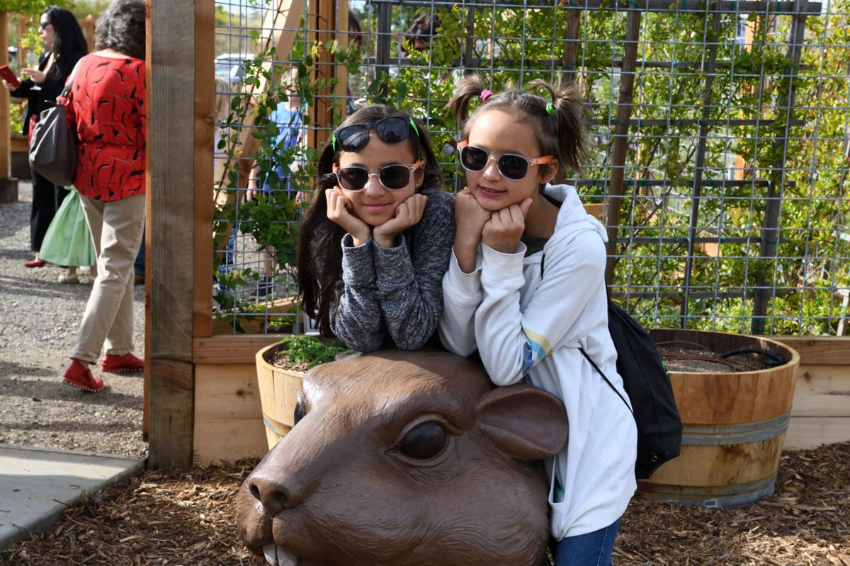 Napa's OLE health gets new partner, name: CommuniCare+OLE | News ...