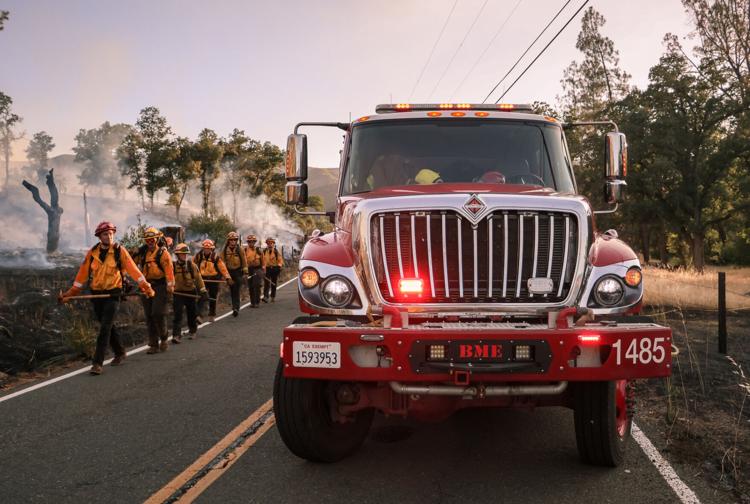 Author Clare Frank talks "Burnt: A Memoir of Fighting Fire" | News ...
