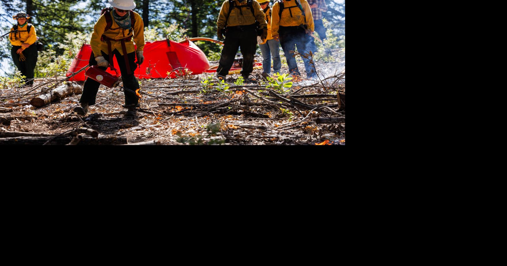 Part of a Napa Valley forest burns - but it's part of a plan | News ...