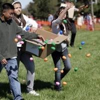 Raiders of the lost Easter eggs | News | napavalleyregister.com