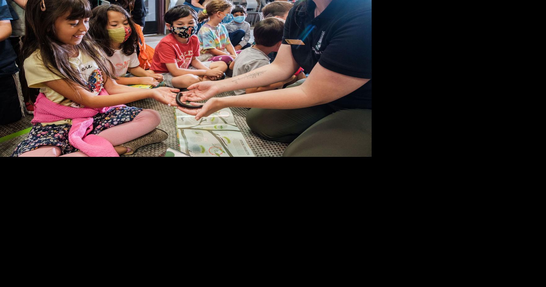 Napa kids bug out at the library during giant insect encounter | News ...