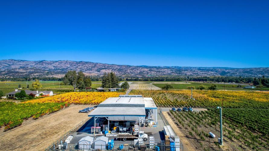 Lewis Cellars' full-throttle Napa Valley wines