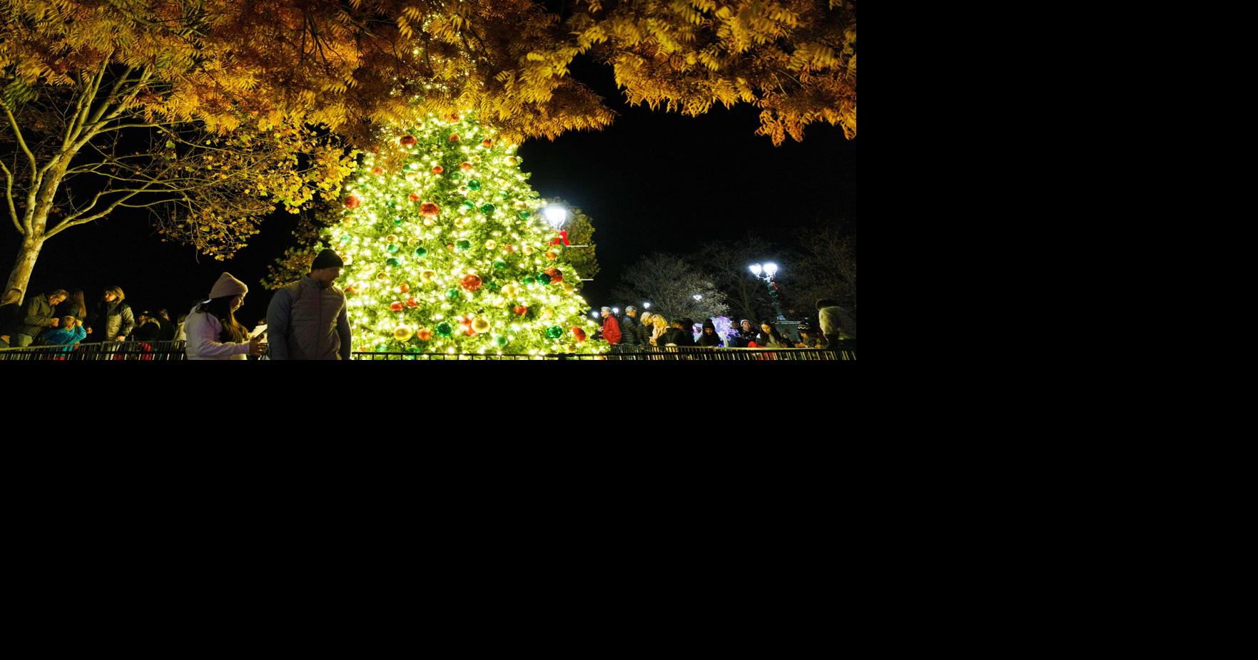 Wayback Wednesday: Napa Christmas Tree Lighting festivities through the ...